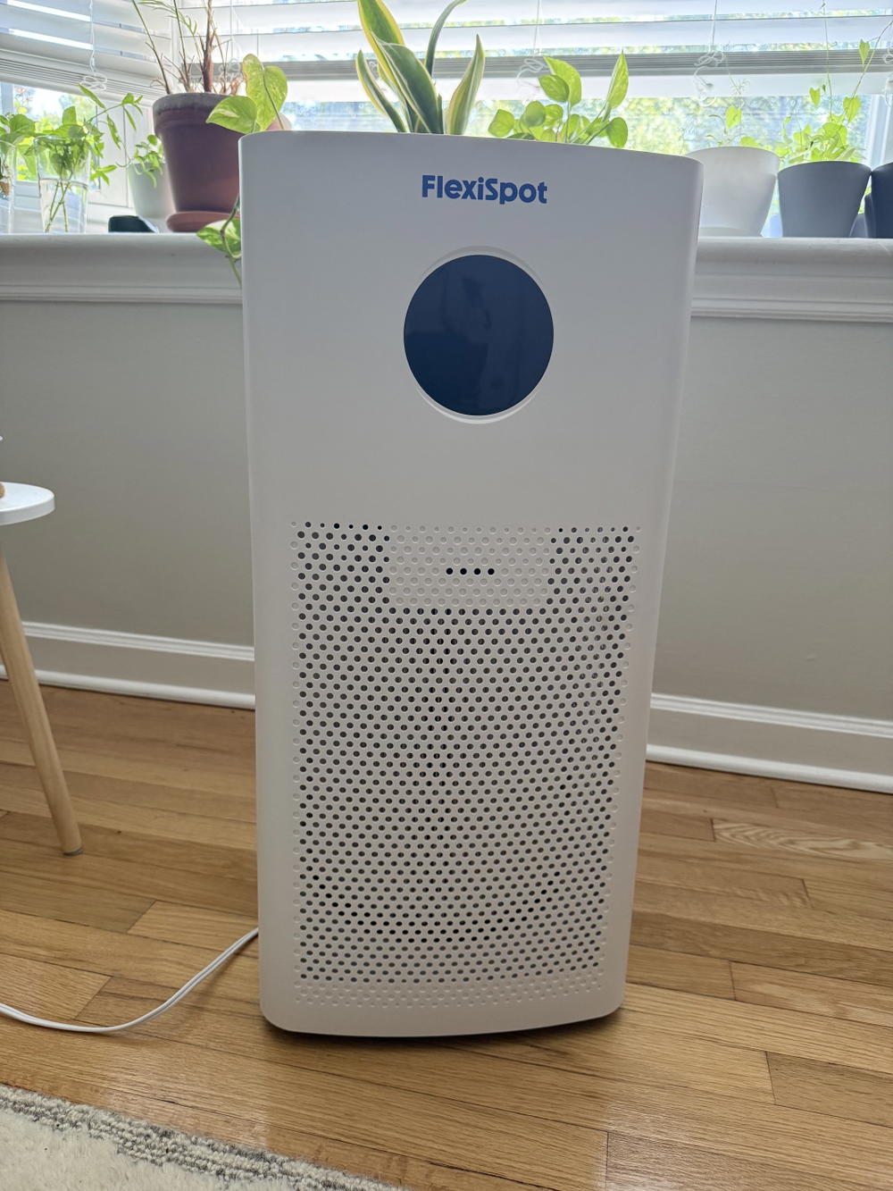 FlexiSpot Air Purifier Review: Which One to Pick