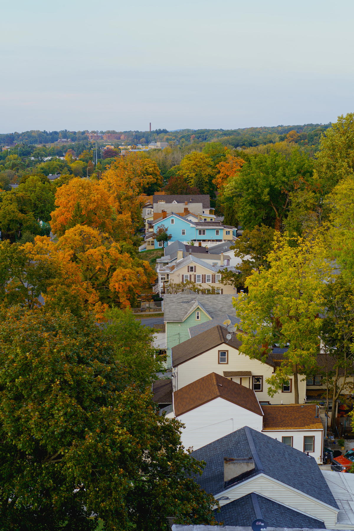15 Valid Reasons Why You Should Move to the Suburbs