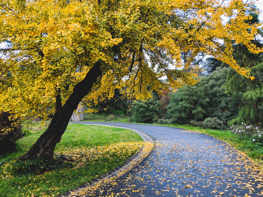 15 Reasons to Choose Suburban Living: Make the Move Now