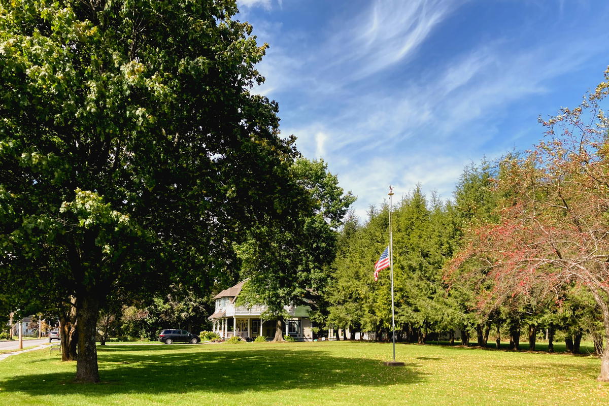 15 Reasons to Choose Suburban Living: Make the Move Now