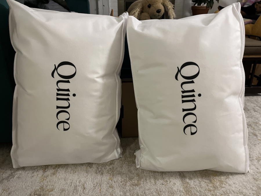 How Legit Is Quince? (My Experience with 55 Orders)