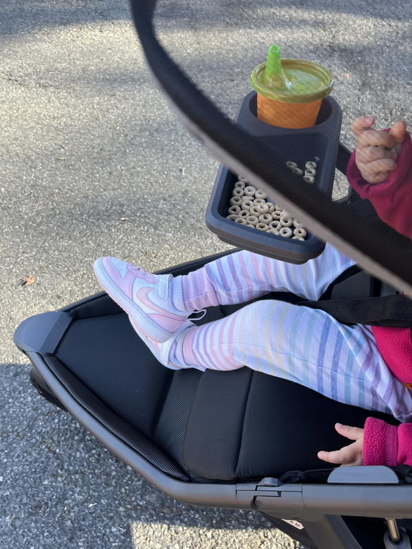 Guava Roam Stroller Review: Jogging Stroller, Travel Stroller or Both?
